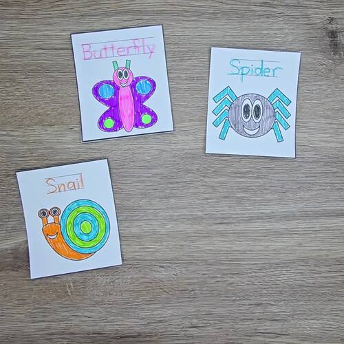 My First Bug Book by HH Fun and Learning | TPT