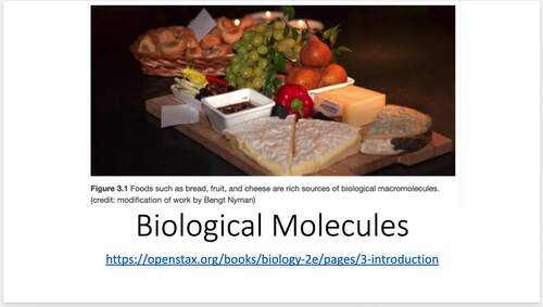 Biological Macromolecules - Chapter 3 - OER Openstax Biology 2e Concepts