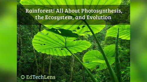 Layers, Light, Life Cycles, and Traits in a Rainforest Ecosystem – Unit ...
