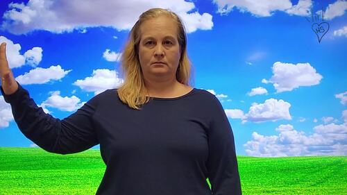 ASL Unit 1 Video 18 by Melissa Sexton | TPT