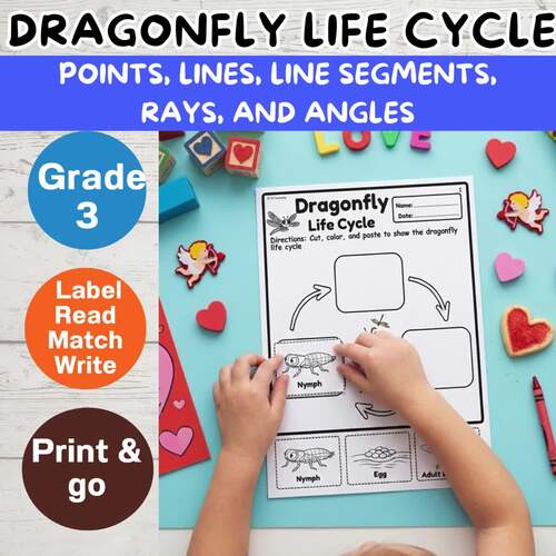 Life Cycle of a Dragonfly Worksheets | Grade 3 Science | NGSS 3-LS1-1