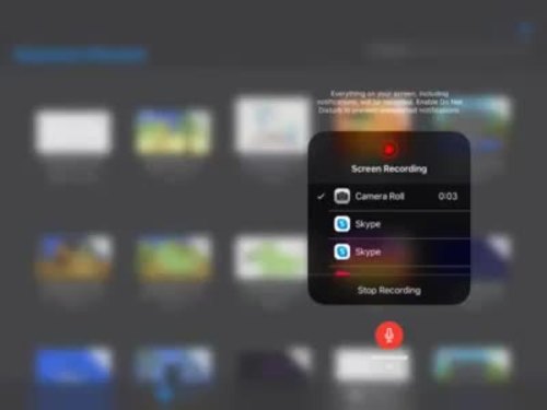 How to draw a farm animal - pig tutorial using Keynote by Sarah Bennett