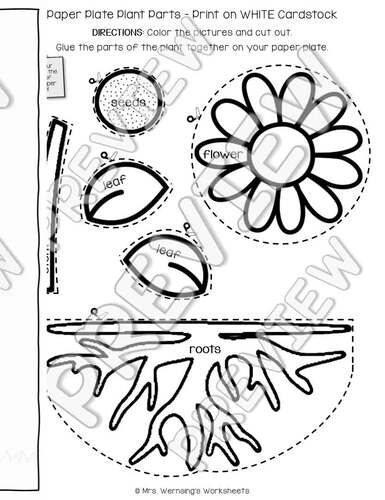 Parts of a Plant - KINDERGARTEN SCIENCE by Mrs Wernsings Worksheets