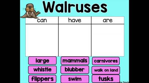 All About Walrus Google Slides - Walrus Life Cycle Walrus Labeling ...