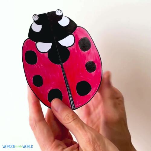 Life cycle of a ladybug insect cut and paste sequencing science craft ...