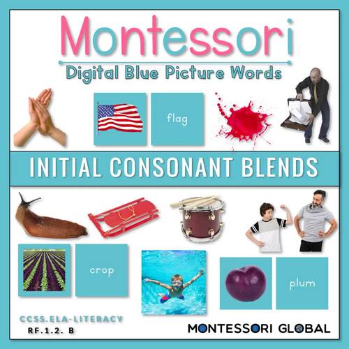Montessori | Blue Picture Word Cards | Boom Cards™ by Montessori Global