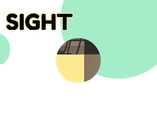 first grade sight words adapted special education activity books