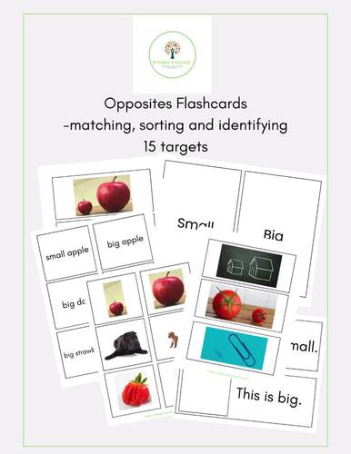 Opposites Flashcards-big and small,matching word to picture and sorting