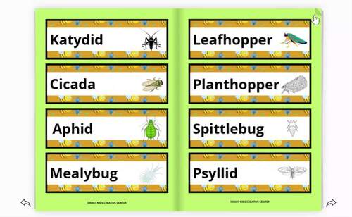 FREE Insect Word Wall - Insect Names and Pictures | TPT