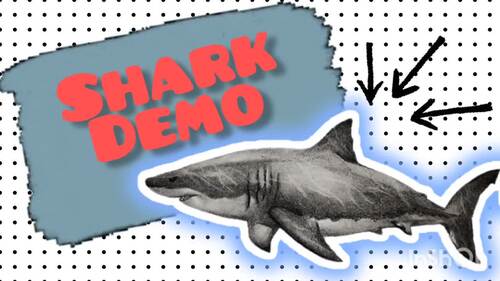 Step by Step Drawing Tutorial of a SHARK- Art Worksheet and Video, Sub ...