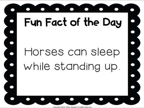 FUN FACTS OF THE DAY: ANIMALS {PRINT & DIGITAL} by MamaTeachesStore