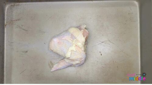 Chicken Wing Dissection - Skeletal System and Muscular System | TPT
