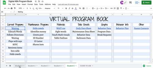 Digital ABA Program Book by Beltran's Behavior Basics | TpT