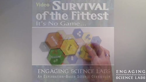 Predator and Prey — Competition Migration and Natural Selection Game