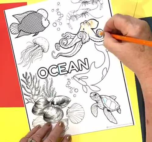 deciduous forest animals coloring pages