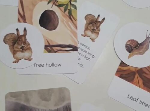 Winter Animal Homes Matching Game, Hibernation Mini Study, Sleeping ...