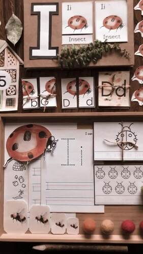 I is for Insect Early Learning Pack by For the Love of Homeschooling