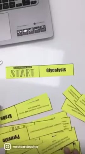 Cellular Respiration - Domino Review Cards - High School by MsBioArtTeacher