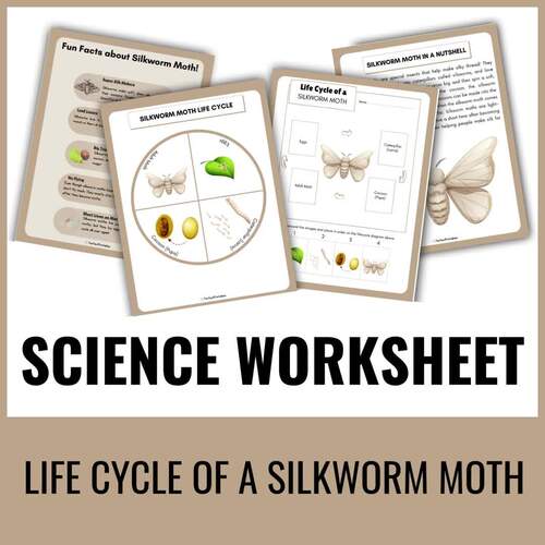 Life Cycle of a Silkworm Moth Worksheet - Insect Science Unit Study