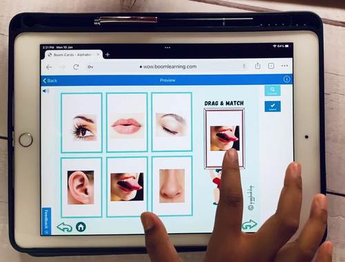 Preschool matching identical picture Boom Cards | Special education