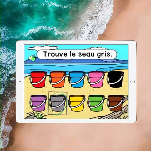 Trouve la couleur GRISE avec audio | Cartes Boom | La plage | TPT