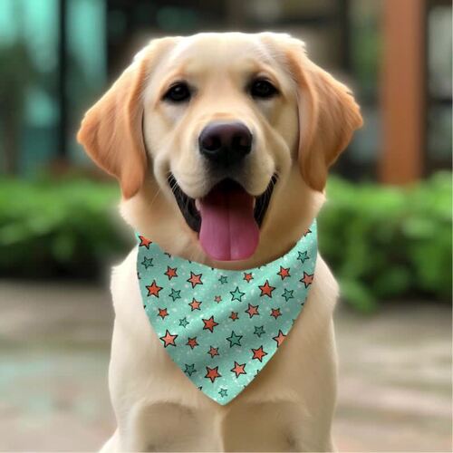 Life of a Showgirl Seamless Pattern Digital Paper Set 4 Star ...