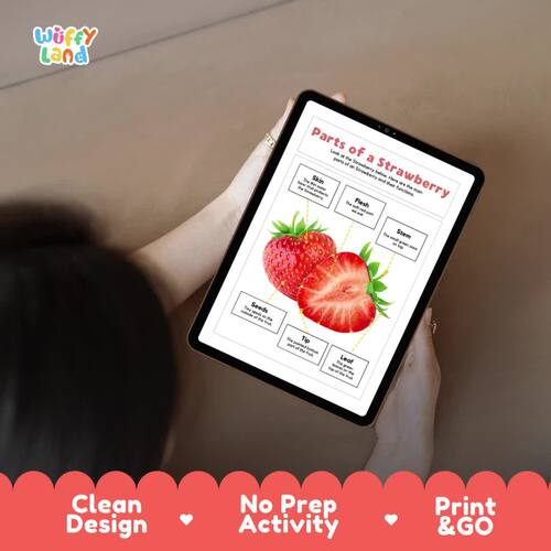 Parts of a Strawberry Anatomy Poster | Fruit Science Cut and Paste Labeling