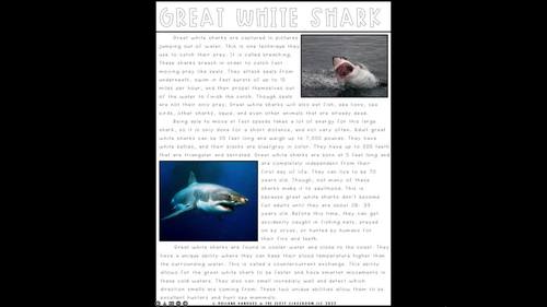 Shark Articles for Elementary Students by The Zesty Classroom | TPT