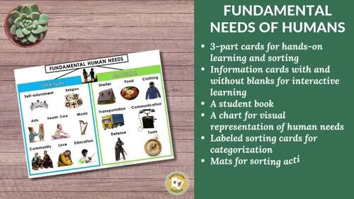 Fundamental Needs of Humans Montessori 3-Part Cards Chart Sort | TPT