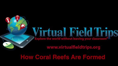 Virtual Field Trip - How Coral Reefs Are Formed - Grades 2-6 | TPT