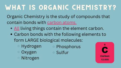Macromolecules PowerPoint & Guided/Doodle Notes Bundle by The Savvy Brand