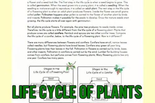 Life Science Reading Comprehension Word File: Life Cycles of Organisms ...
