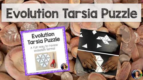 Evolution Tarsia Puzzle | Vocabulary review game by Science Lessons ...
