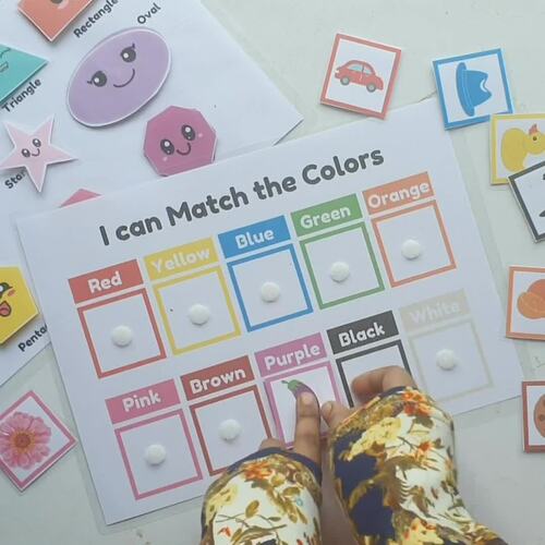 Color Matching Activity Editable Template , Preschool curriculum, busy book