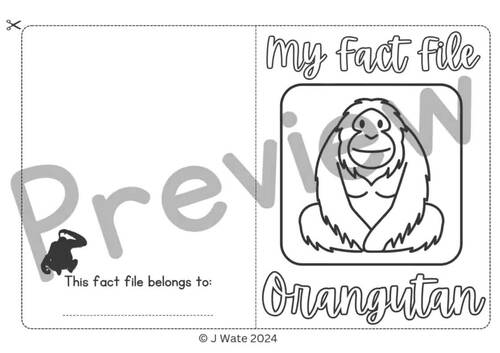 Animal Research Project | Animal Habitats | Orangutans Fact File Worksheets