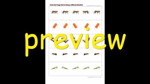 Direction Facing - Pick the odd one out - Worksheets with Real Images