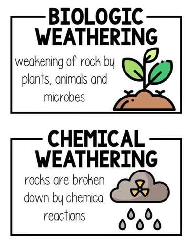 Science Word Wall Cards for Middle School | Ecological Impacts Vocabulary