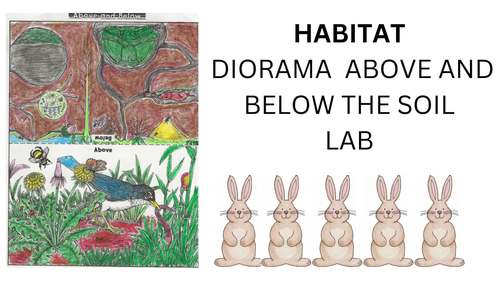 Habitat Dioramas 3D model and lab-soil above and below Middle School ...