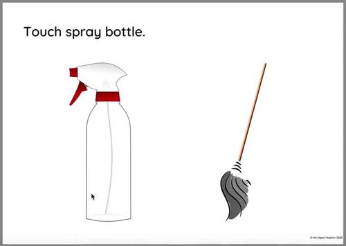 Receptive Language Cleaning Supplies Field of 2 to errorless #16