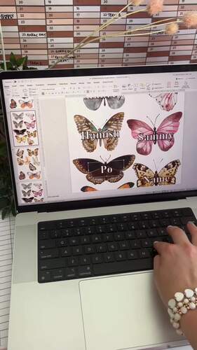 CLASSROOM HELPERS INTERACTIVE DISPLAY | Boho Butterfly Decor | Student Jobs