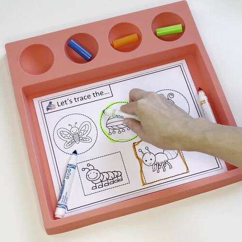 Bug and Insect Themed Print & Go Activities - No Prep Special Ed