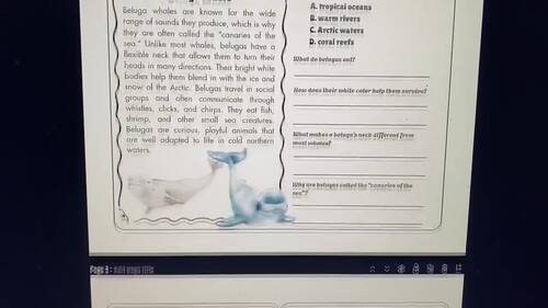 Arctic Animals Reading Comprehension Passages, Science Text, Tundra Habitat