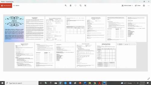 Response To Intervention Complete Forms Set MTSS RTI GEI SIT Simple to Use