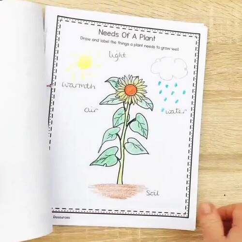 End Of Year Science Review - Summer Review - Back To School - Kindergarten