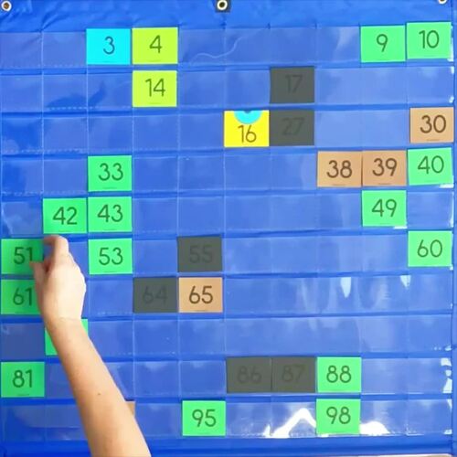 Rain Forest 100 Chart Mystery Pictures for Pocket Charts | Numbers to 100