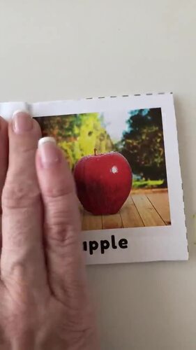Alphabet Mini Books - Sound Recognition & Vocabulary for ESL | TPT