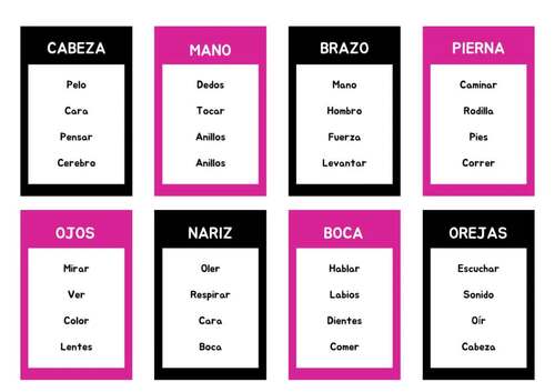 Spanish Taboo Game: Body Parts Tabú Partes del Cuerpo by Pasajero Spanish