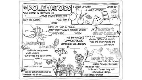 Pollinators Doodle Notes & Quiz by Black-Eyed Susan Science | TPT