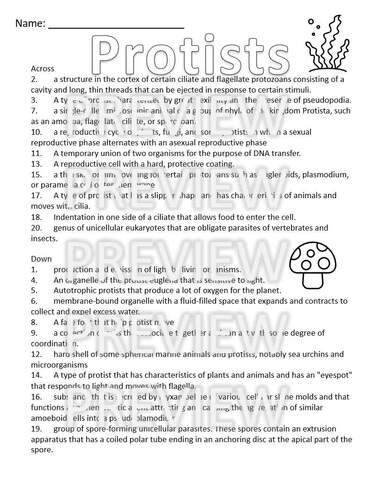 Protists Vocabulary Puzzle | Advanced Biology by Secondary Science HQ