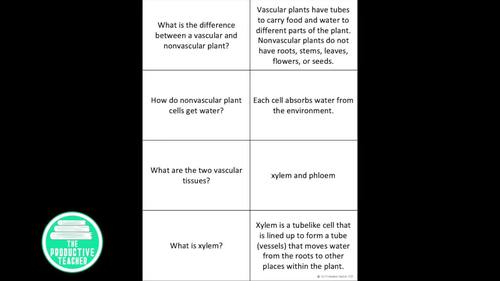 Plant Structures Flashcards by The Productive Teacher | TPT